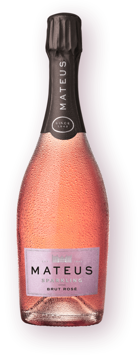 Our Wines